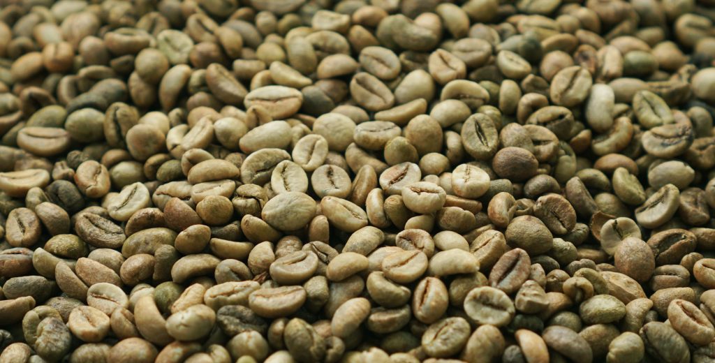 GREEN BEAN - INTIMEX GROUP