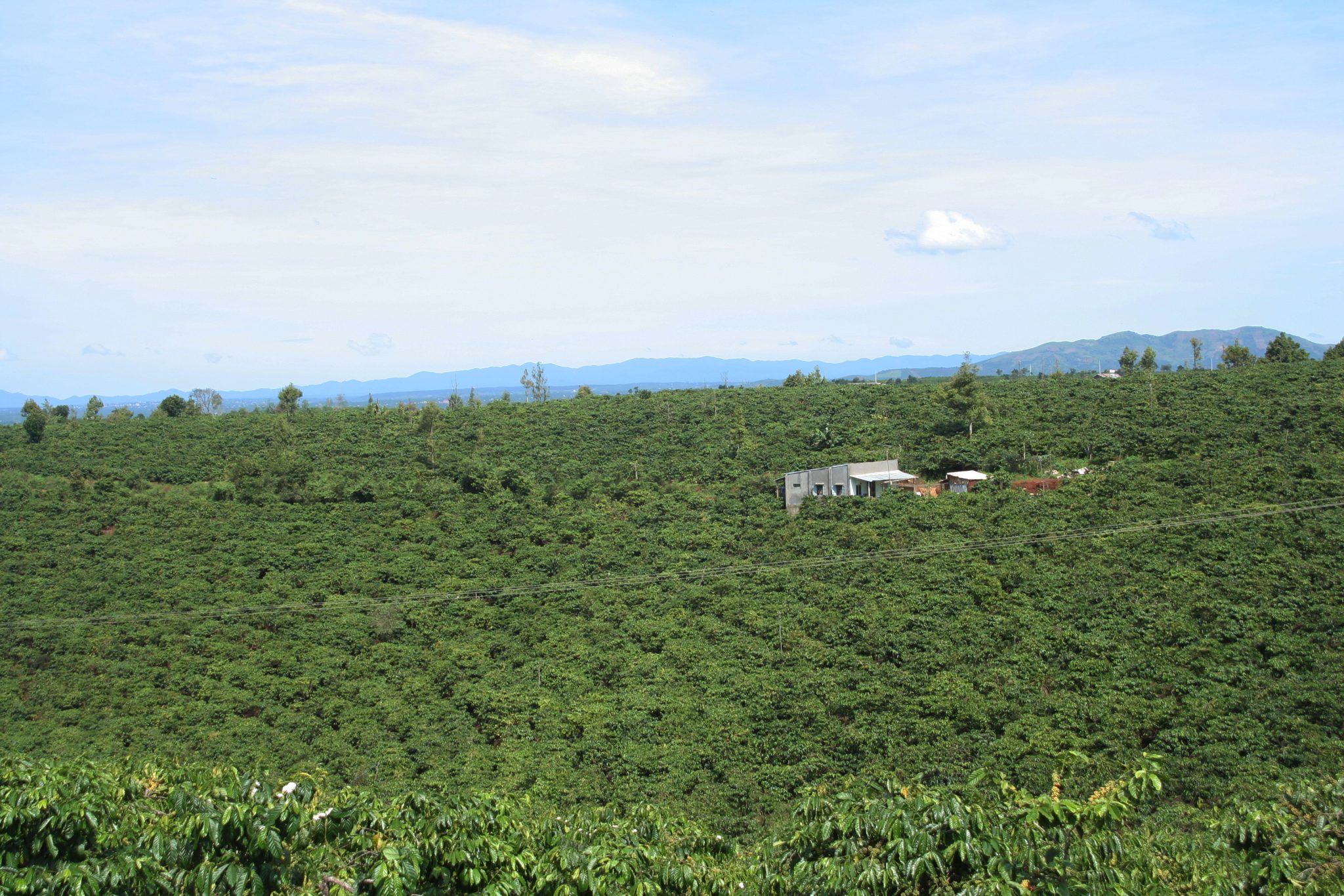 SUSTAINABILITY - INTIMEX GROUP