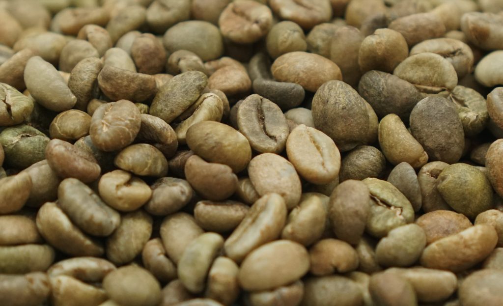 GREEN BEAN - INTIMEX GROUP