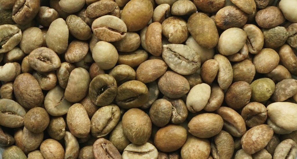 GREEN BEAN - INTIMEX GROUP